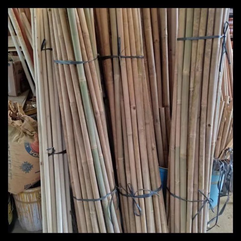 Jual Tongkat Bambu Natural Panjang 120cm 140cm 160cm Tiang Bendera ...
