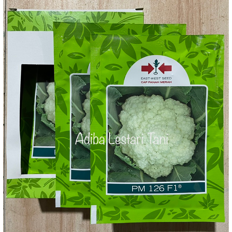 Jual Benih Bunga Kol / Kembang Kol PM 126 F1 10 Gram - Cap Panah Merah ...