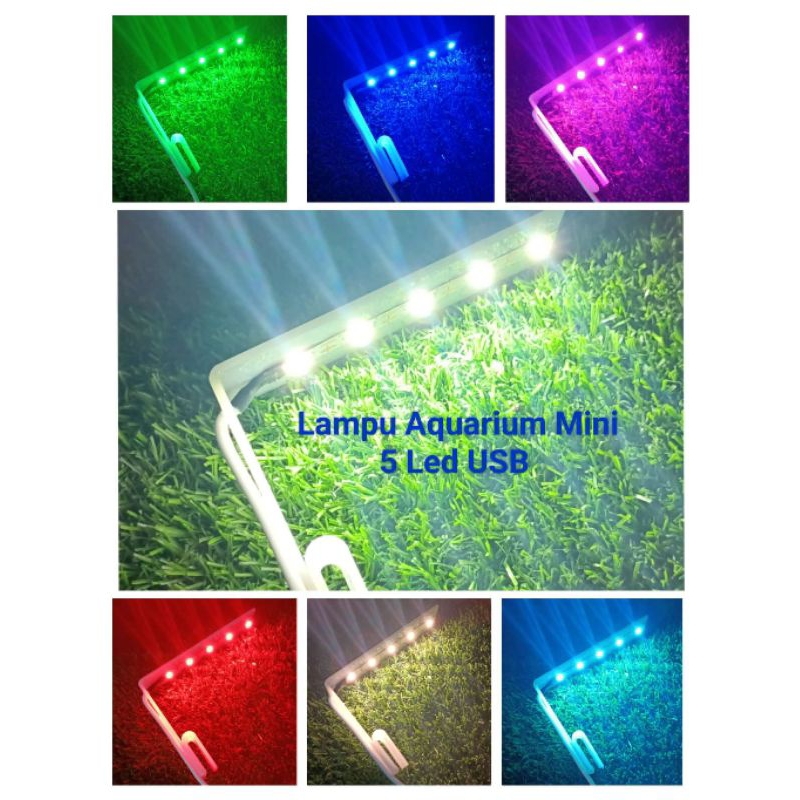 Jual Lampu Aquarium Mini 5 Led USB | Shopee Indonesia