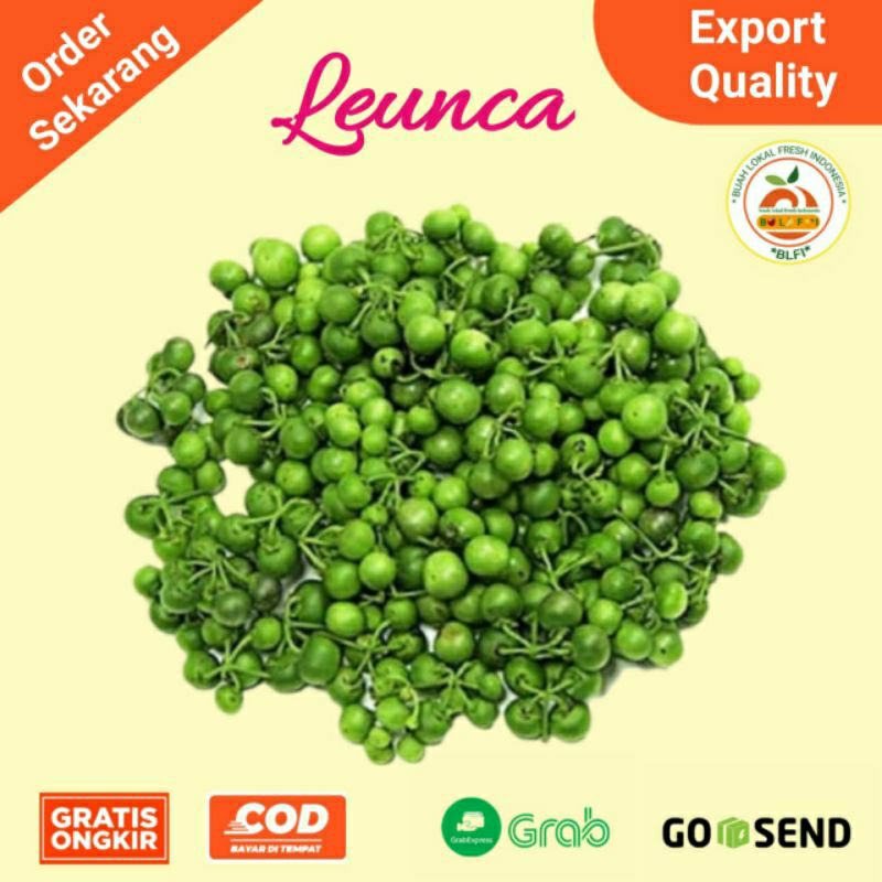 Jual LENCA LEUNCA FRESH PER 100GRAM | Shopee Indonesia