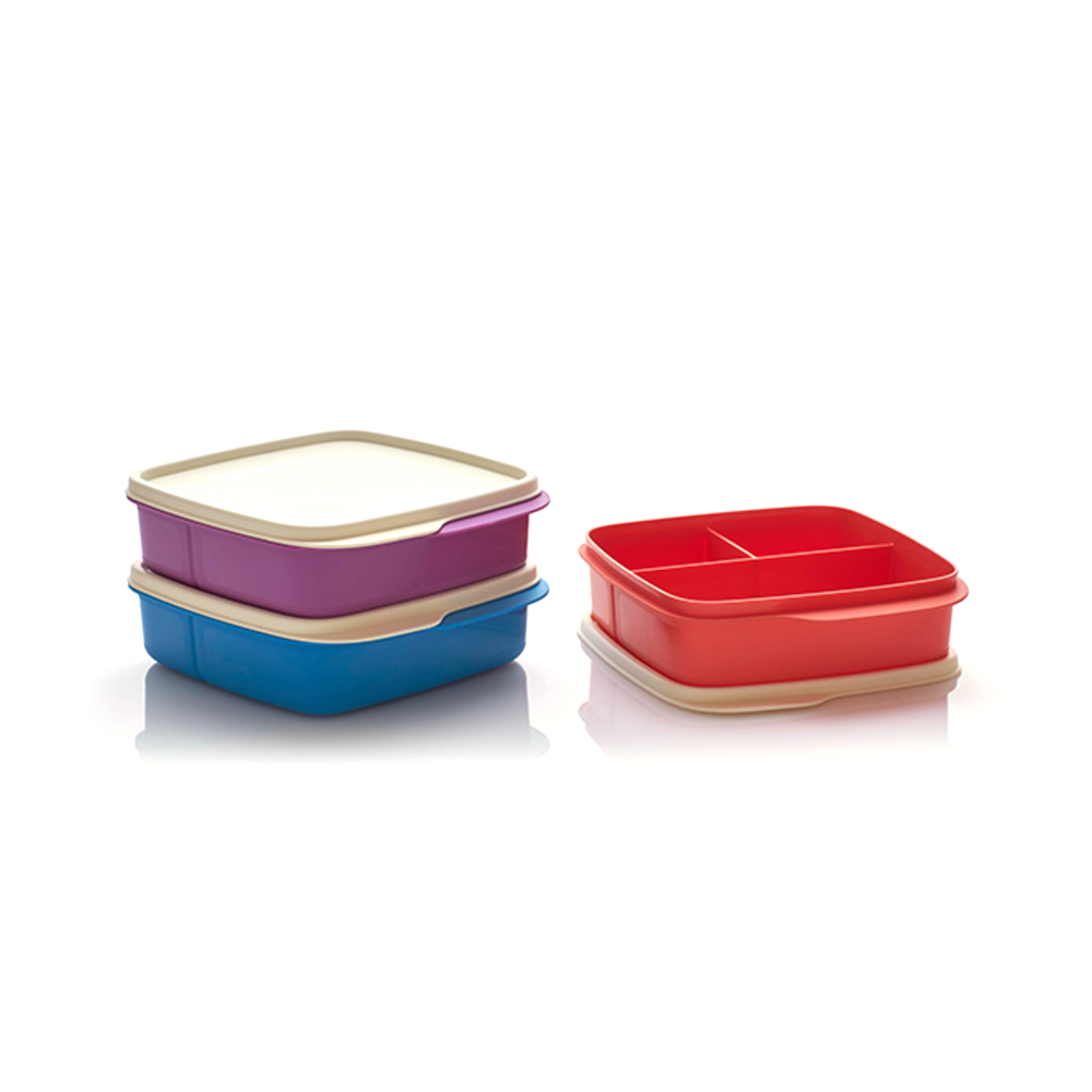 Jual Tupperware ECER 1pc Lolly Tup Tutup Putih Tupperware Original ...