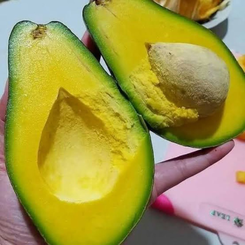 Jual alpukat mentega 1kg | Shopee Indonesia