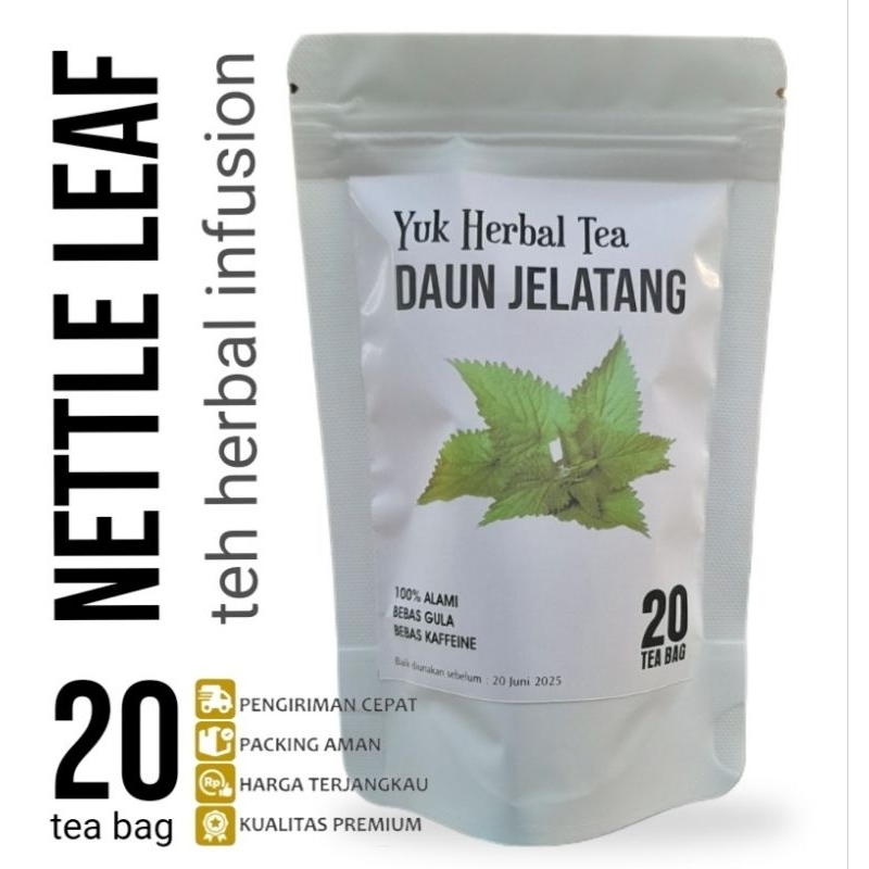 Jual TEH DAUN JELATANG /NETTLE LEAF TEA 100%organik (20 tea bag ...