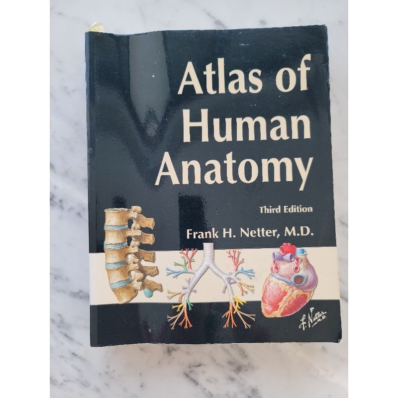 Jual Netter Netter's Atlas of Human Anatomy Anatomi Buku Kedokteran Dokter | Shopee Indonesia
