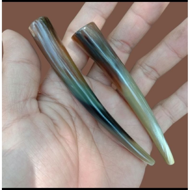 Jual ONCE PIPA TANDUK KERBAU BULE SUPER DAN HITAM MANIS PANJANG ...