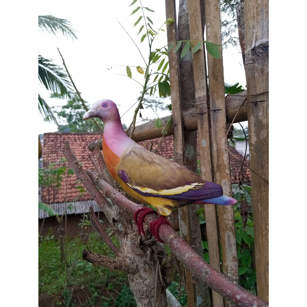 Jual Jontrot Patung Burung Punai Gading | Shopee Indonesia