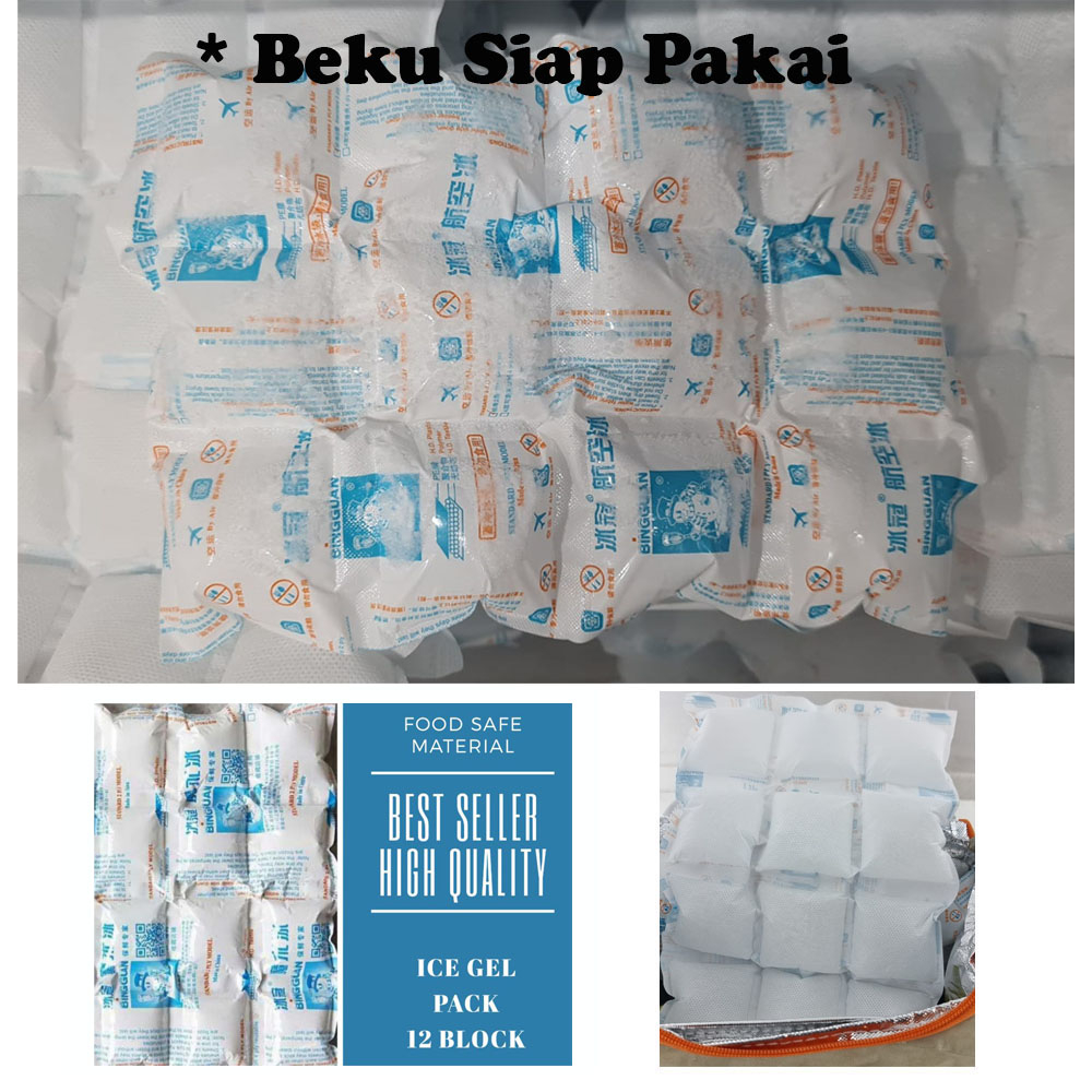 Jual Ice Pack Beku Siap Pakai Lembaran 12 kecil Ice Gel Dingin ...