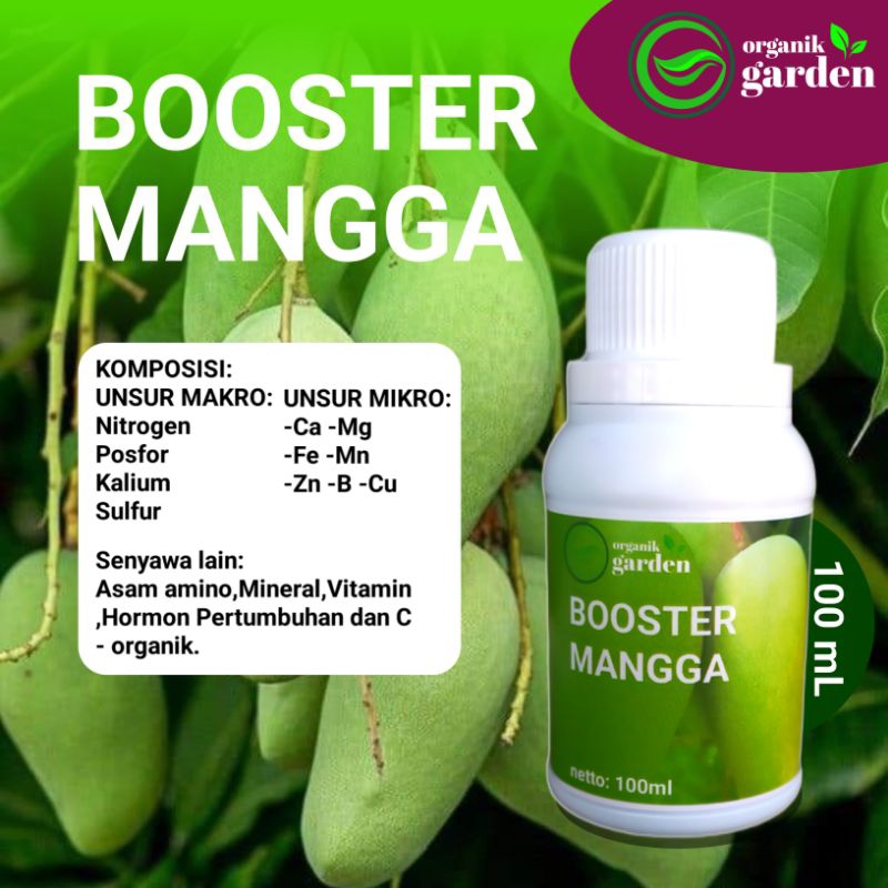 Jual booster cair MANGGA melebatkan secara maksimal 100ml | Shopee ...