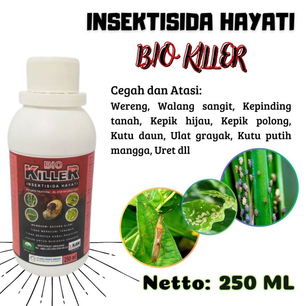 Jual Insektisida Hayati Pengedali Hama Tikus, Obat Walang Sangit, Obat ...