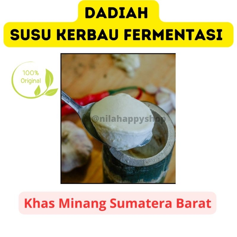 Jual Dadiah Susu Kerbau Fermentasi Khas Minang | Shopee Indonesia