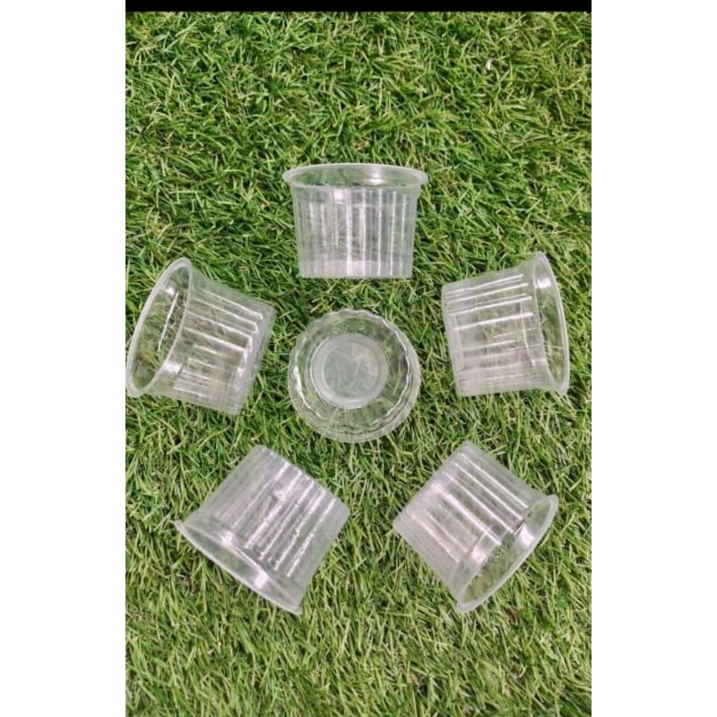 Jual cup agar-agar belimbing +tutup | Shopee Indonesia