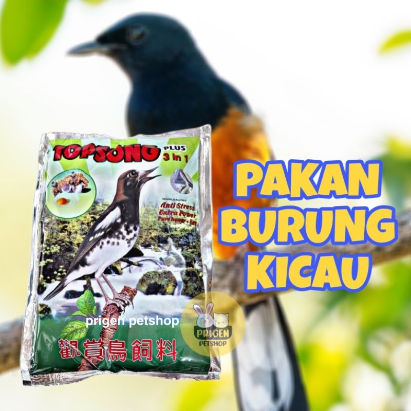Jual TOPSONG PAKAN BURUNG KICAU - Voer Burung Kicau Murai Kacer Anis ...