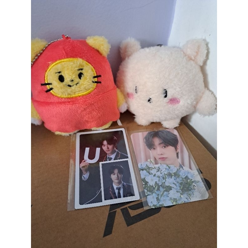 Jual PRELOVED BONEKA TRUZ TREASURE HARUTO JAEHYUK (BOOKED) | Shopee ...