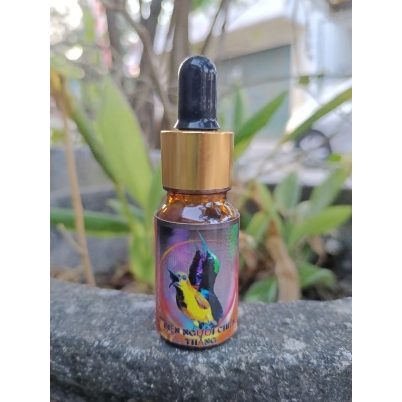 Jual DOPING SOGON PLECI DAN KOLIBRI DIEN NGU OI CHIEN THANG FIGHTER ...