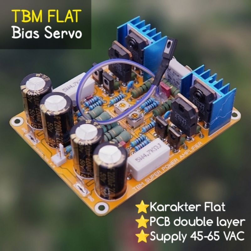 Jual TBM FLAT - TBM BIAS SERVO PCB DOUBLE LAYER | Shopee Indonesia