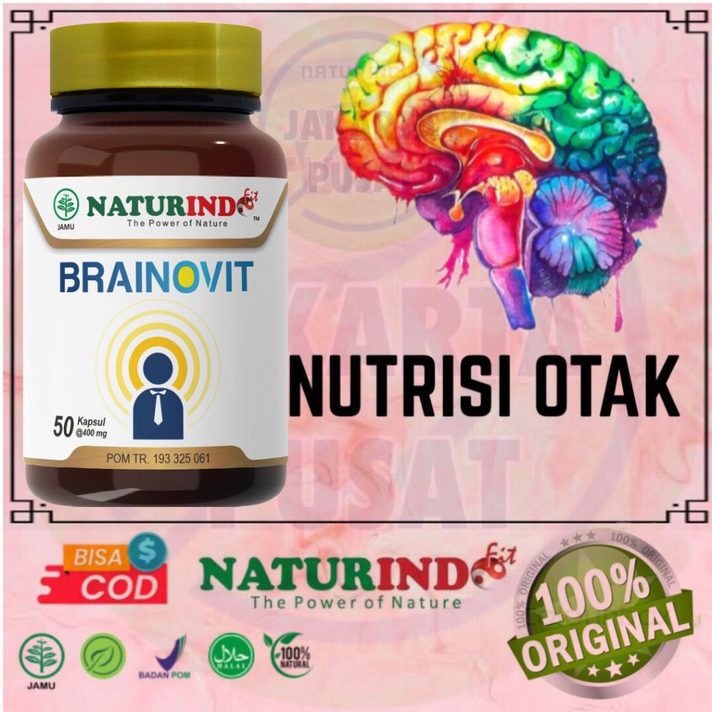 Jual Vitamin Otak Nutrisi Otak Obat Herbal Meningkatkan Daya Ingat Otak ...