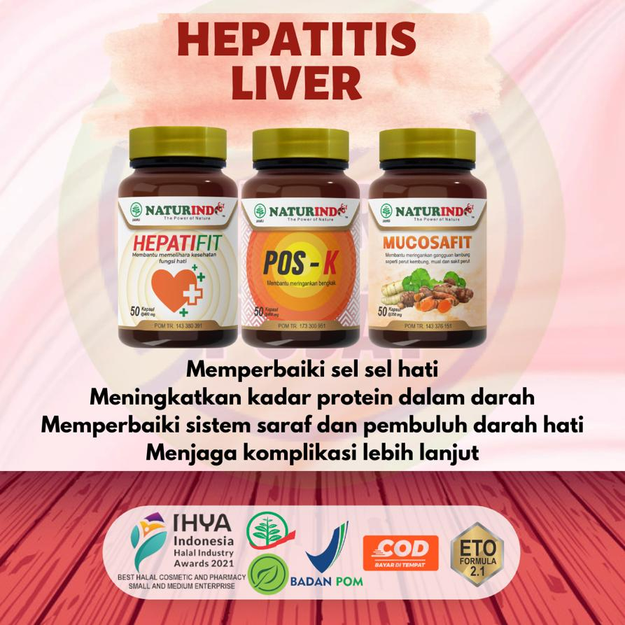 Jual Naturindo Hepatifit Herbal Obat Alergi Liver Yang Bengkak ...