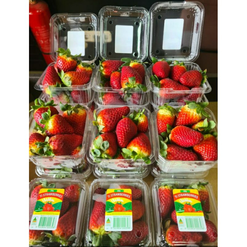 Jual Strawberry Australia Jumbo Fresh import | Buah Strawberry ...