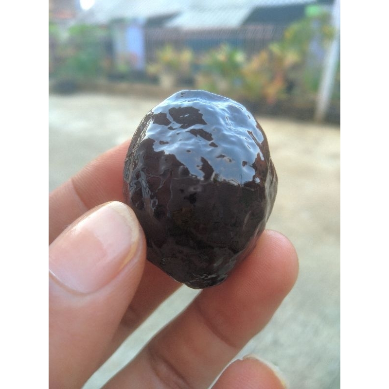 Jual muncang adu JAYANTI BODREX | Shopee Indonesia