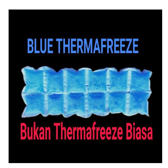 Jual Premium Thermafreeze gel biru MINI KECIL ice pack gel KELAS ATAS ...