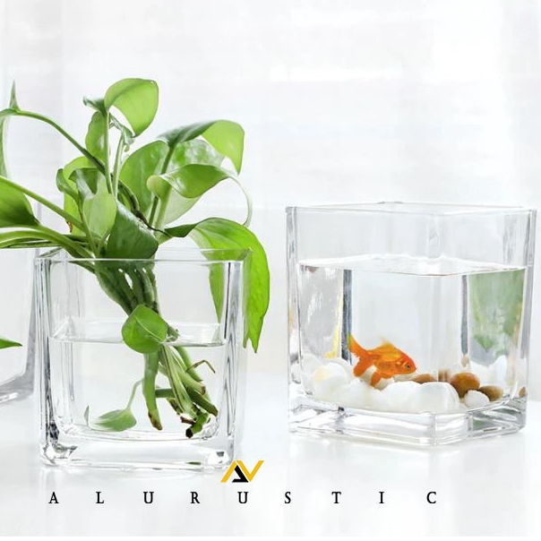 Jual AQUARIUM MINI KOTAK PERSEGI 12 CM / AKUARIUM CUPANG GUPPY ...