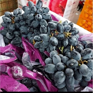 Jual Anggur 1 Kg Terlengkap & Harga Terbaru Januari 2025 | Shopee Indonesia