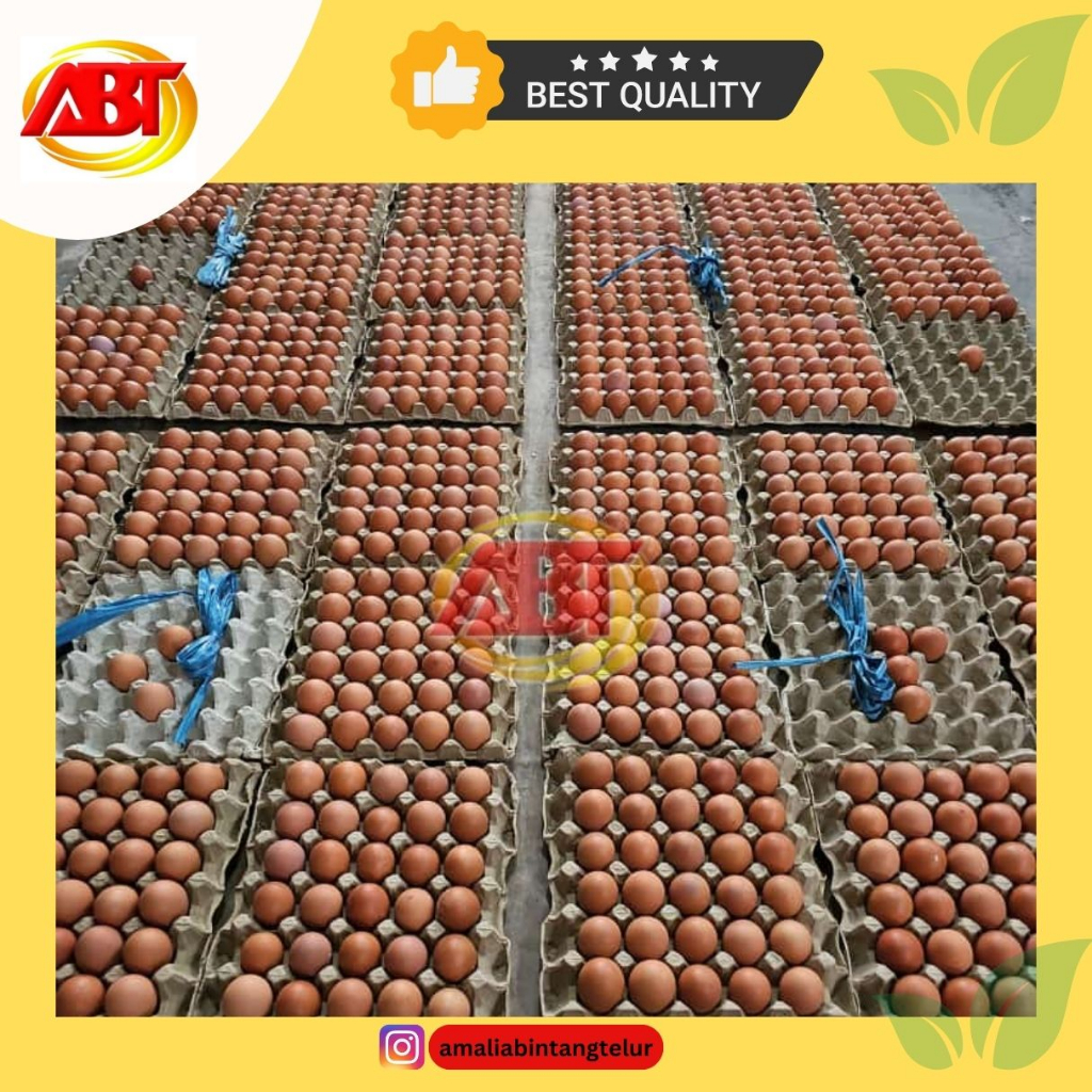 Jual ABT - Telur Ayam Negeri Ukuran Kecil Super (1kg isi 19-20 butir ...