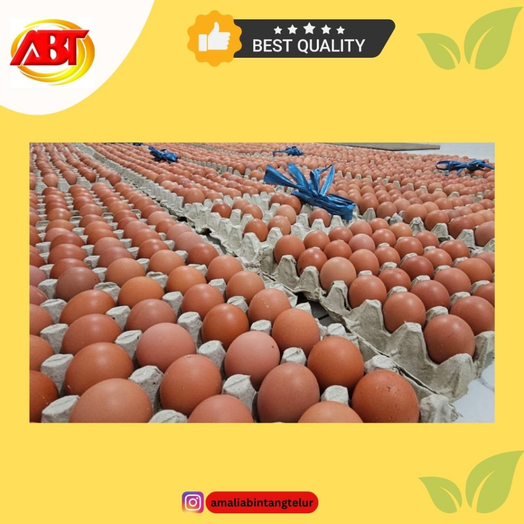 Jual ABT - Telur Ayam Negeri 500 gram Lezat dan Bergizi (FRESH-AMAN ...
