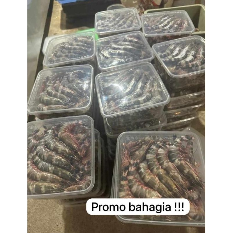 Jual Udang cat tiger frozen / udang windu laut / udang laut / udang ...