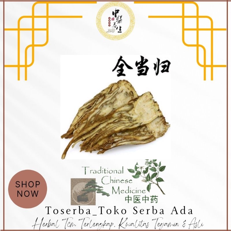 Jual 100gr Herbal Quan Dang Gui Pian 全当归片 Dong Quai Angelica Sinensis ...