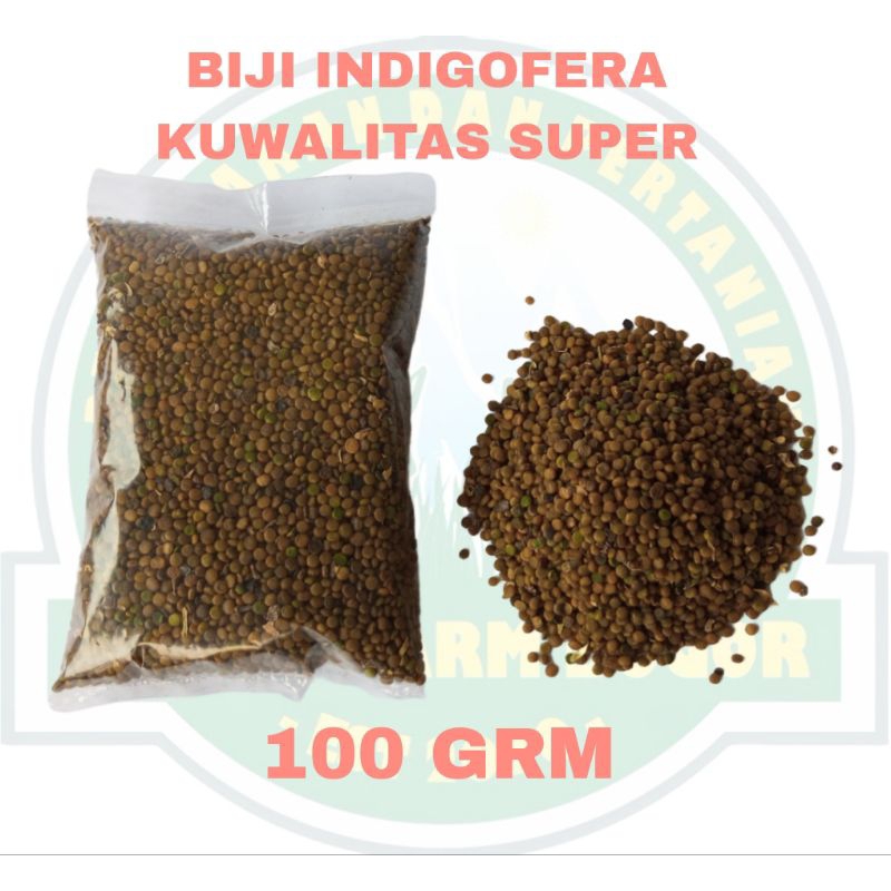 Jual BENIH INDIGOFERA 100grm BIJI INDIGOFERA KUWALITAS SUPER 100grm ...