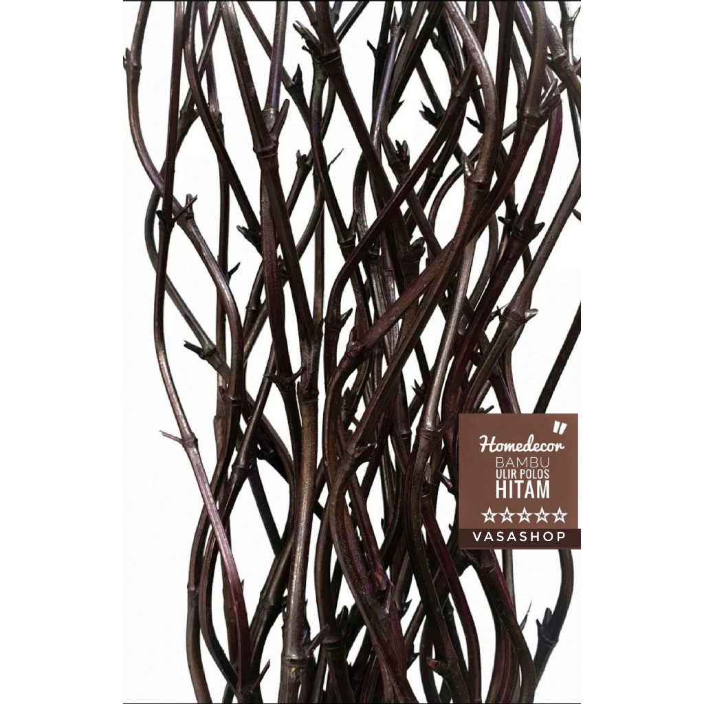 Jual Perlengkapan Rumah Bunga Dekorasi 25 Btg Joran Cendani Bambu Ulir ...