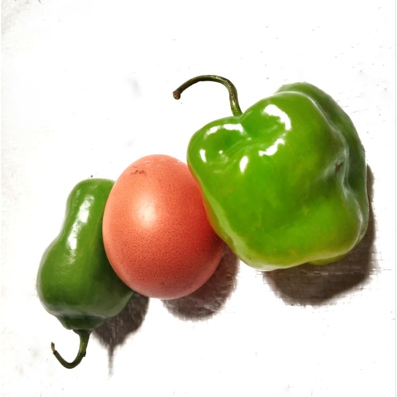 Jual Cabe Gendot , Cabai Bendot Ciwidey Fresh 1 Kg | Shopee Indonesia