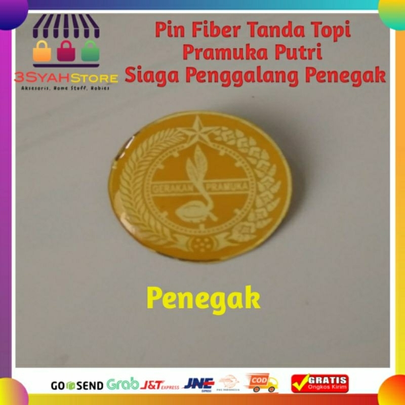 Jual Pin Fiber Tanda Topi Tatop Pramuka Putri Siaga Penggalang Penegak ...