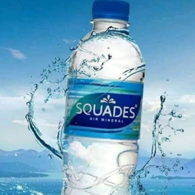 Jual squades botol 600ml 1 dus | Shopee Indonesia