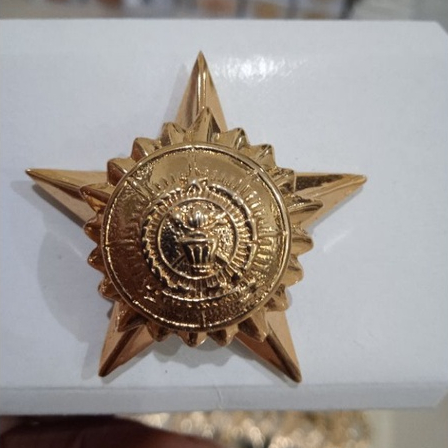 Jual brevet wing pin seskoad tni ad | Shopee Indonesia