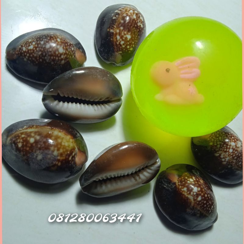 Jual BOLA BEKEL BIJI KERANG (Mainan Jadul) | Shopee Indonesia