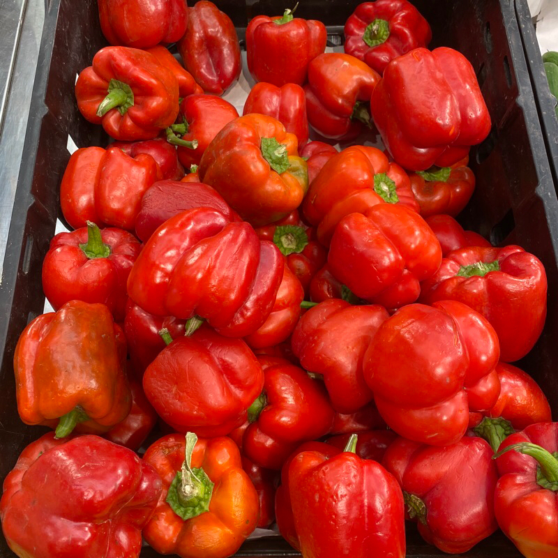 Jual PAPRIKA MERAH MESIR 1 PCS | Shopee Indonesia