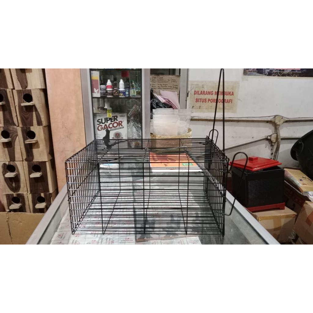 Jual PERANGKAP TIKUS JUMBO UKURAN BESAR JEBAKAN TIKUS DENGAN KAWAT BAJA ...