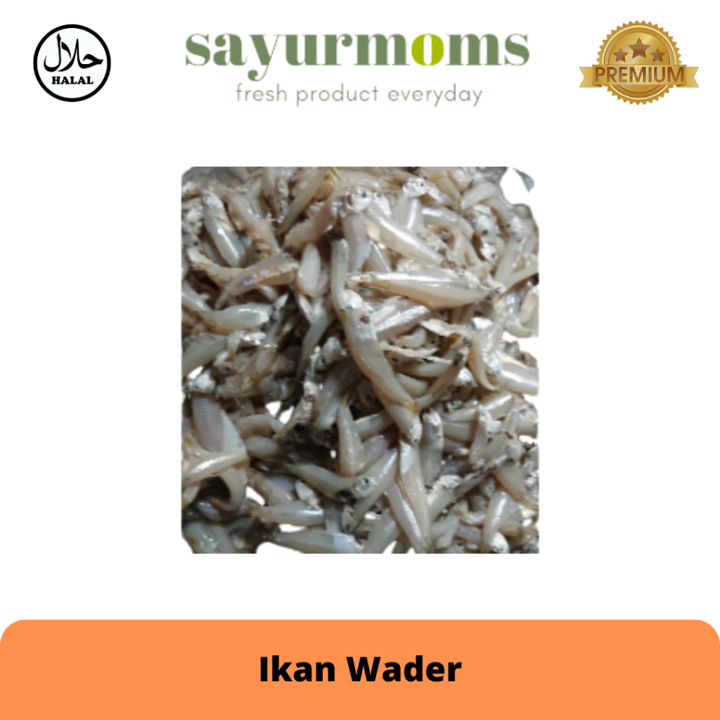Jual Ikan Wader | Shopee Indonesia