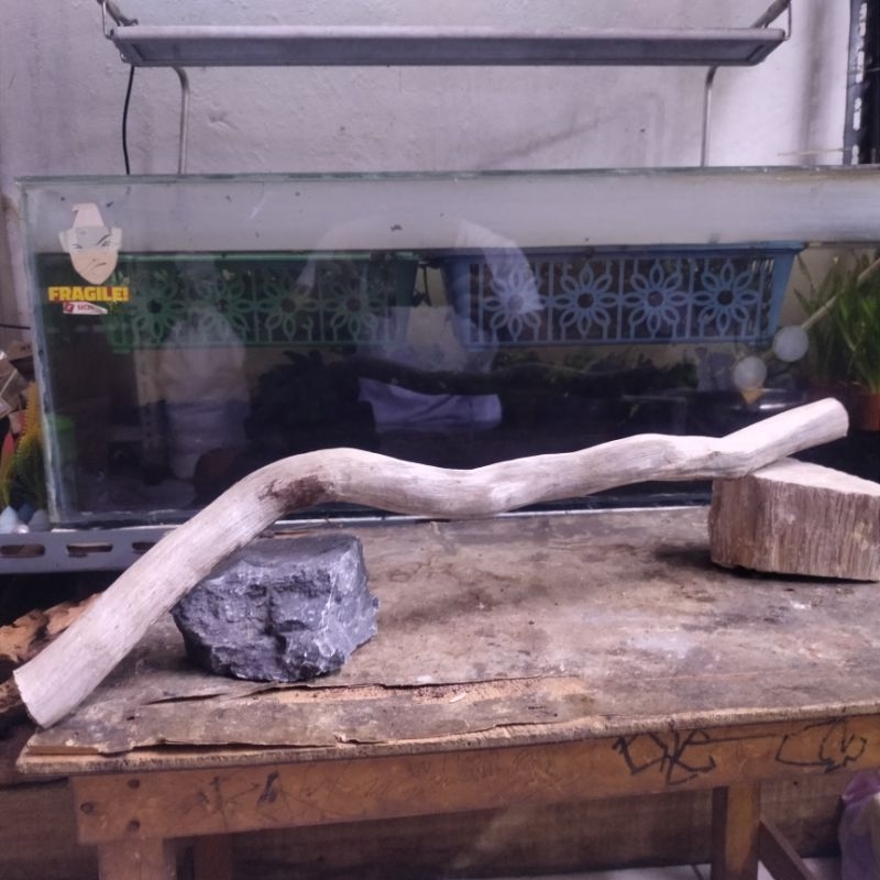 Jual Akar santigi laut kayu santigi hiasan aquascape aquarium 35 ...