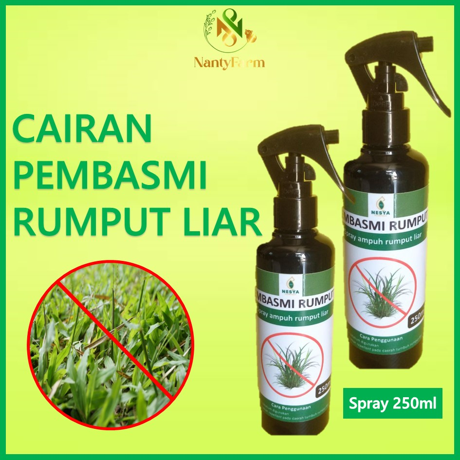 Jual Cairan Pembasmi Rumput Liar 250ml Pembasmi Rumput Sampai Akar ...