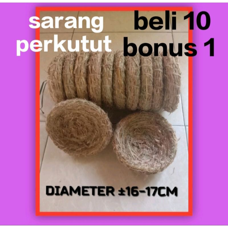 Jual sarang burung PERKUTUT Murah(LANGSUNG PENGRAJIN) | Shopee Indonesia