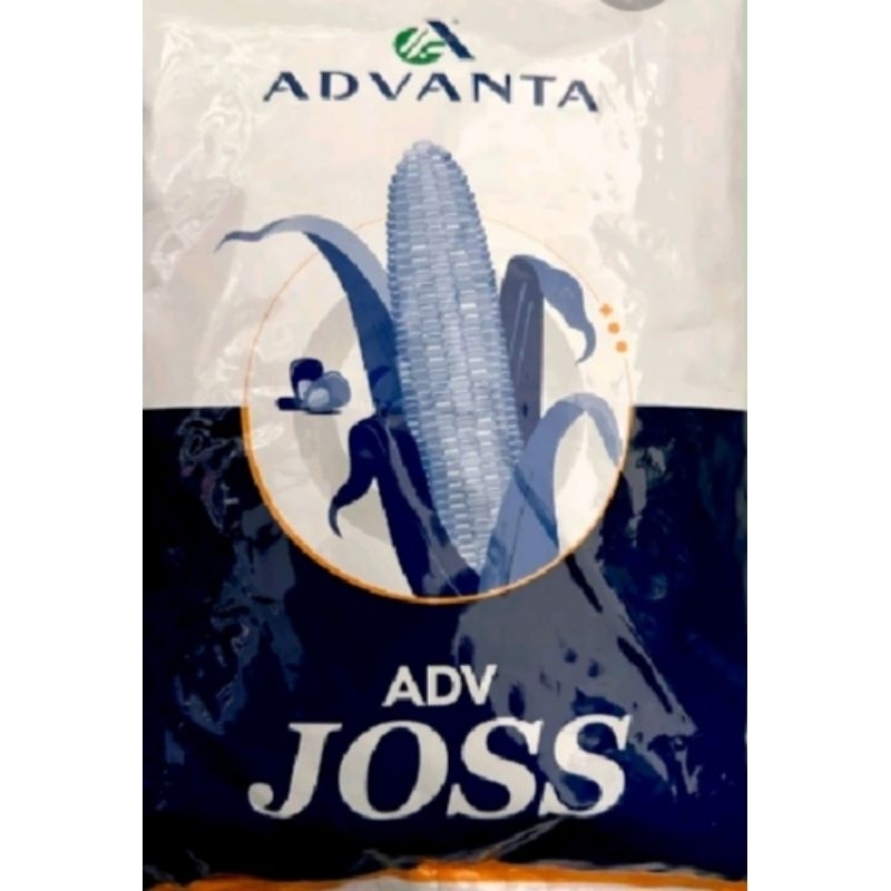 Jual BENIH JAGUNG ADV JOSS 1 KG | Shopee Indonesia