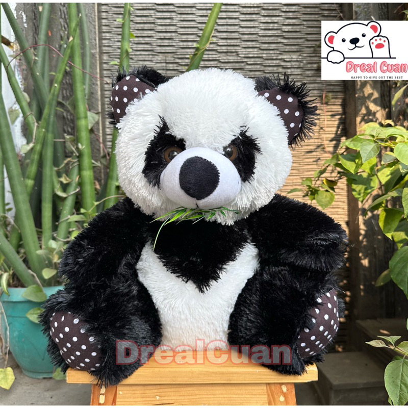 Jual Boneka Teddy Bear Panda Duduk Cina Jari Rumput Import | Shopee ...