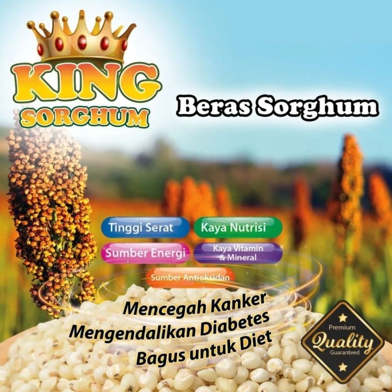 Jual Beras Sorgum / Beras Sorghum / Gluten Free (1Kg) | Shopee Indonesia