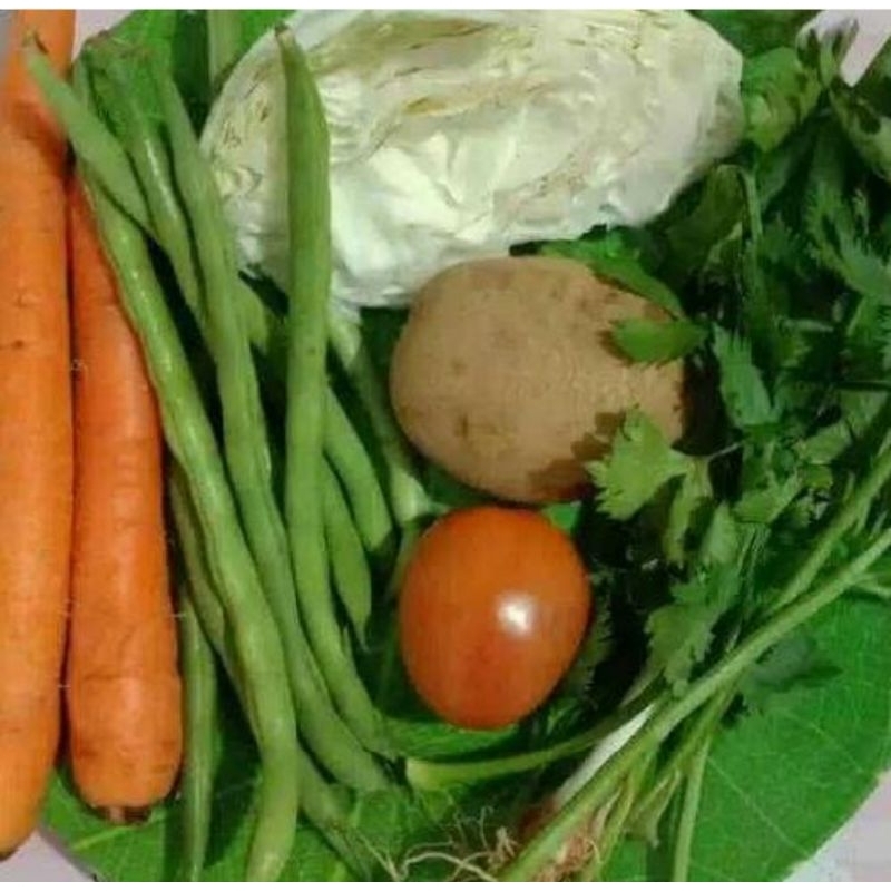 Jual Paket Sayur Sop Lengkap Fresh | Shopee Indonesia