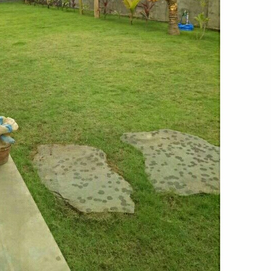 Jual Batu stepping pijakan taman | Shopee Indonesia