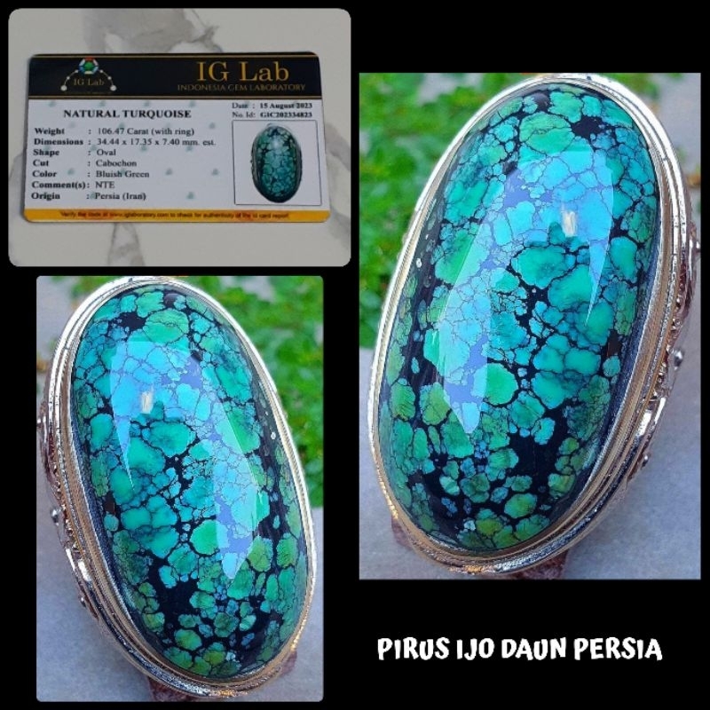 Jual NATURAL PIRUS IJO DAUN JUMBO ( + MEMO LAB ) | Shopee Indonesia