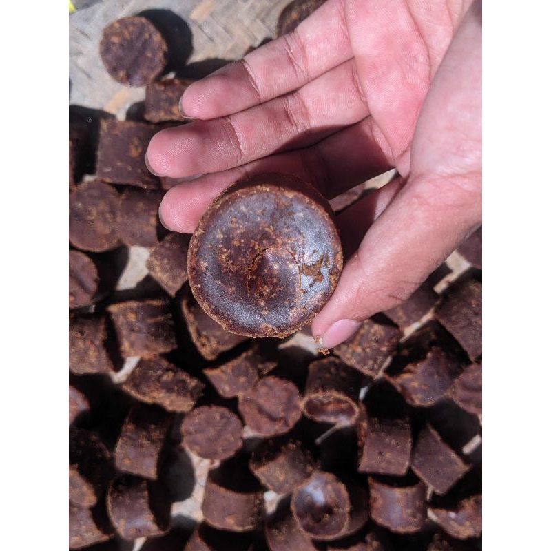 Jual Gula Aren asli/murni 100% | Shopee Indonesia